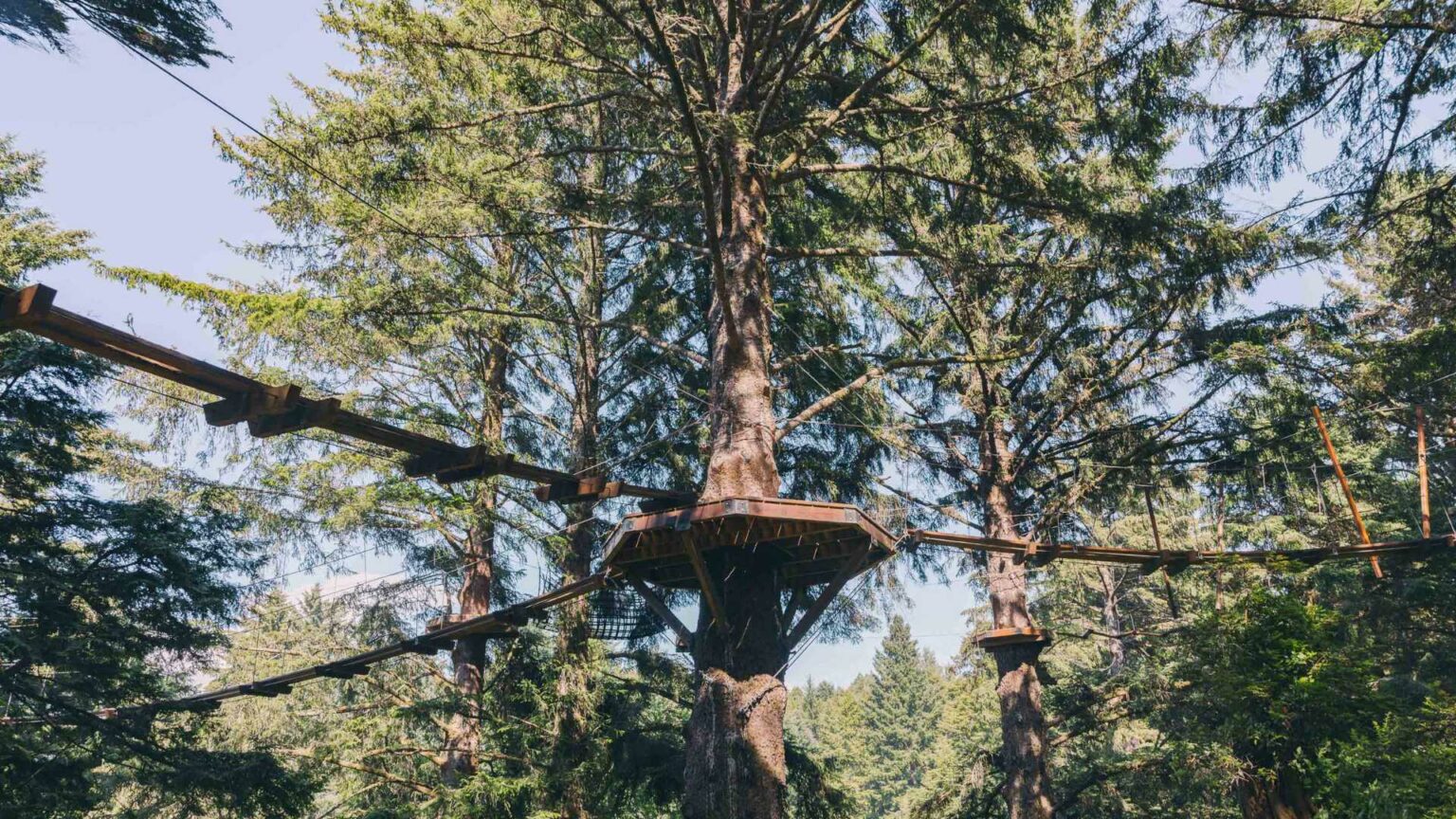 Aerial Park at Salishan Coastal Lodge | Lincoln City