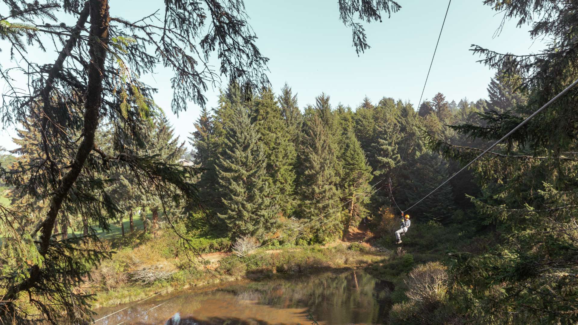 Aerial Park at Salishan Coastal Lodge | Lincoln City