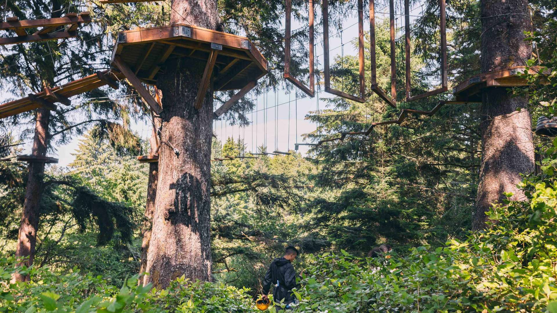 Aerial Park at Salishan Coastal Lodge | Lincoln City